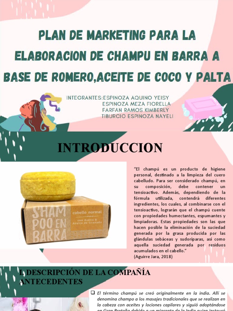 Presentación Plan de Marketin Champu en Barra-Avance 1 | PDF | Champú