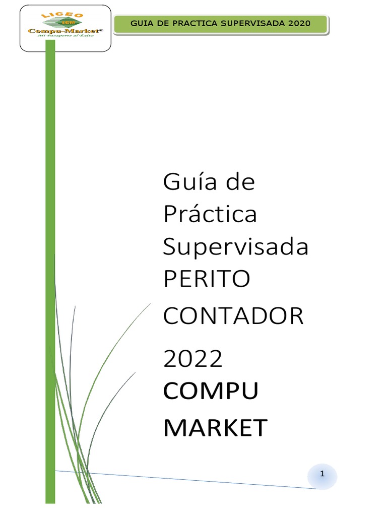 Guia Practica Supervisada PC 2022 | PDF | Contabilidad | Evaluación