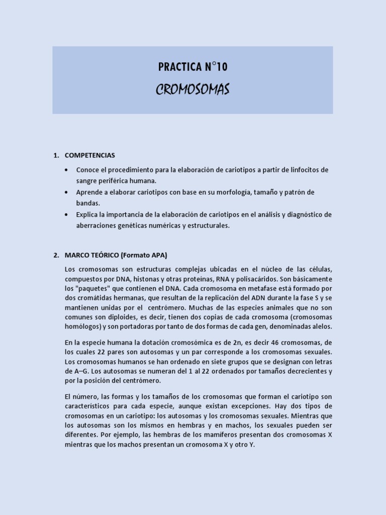 Práctica 10. Cromosomass | PDF | Cromosoma | Cariotipo