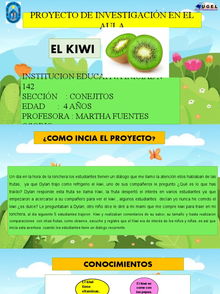 El Kiwi | PDF | Patata