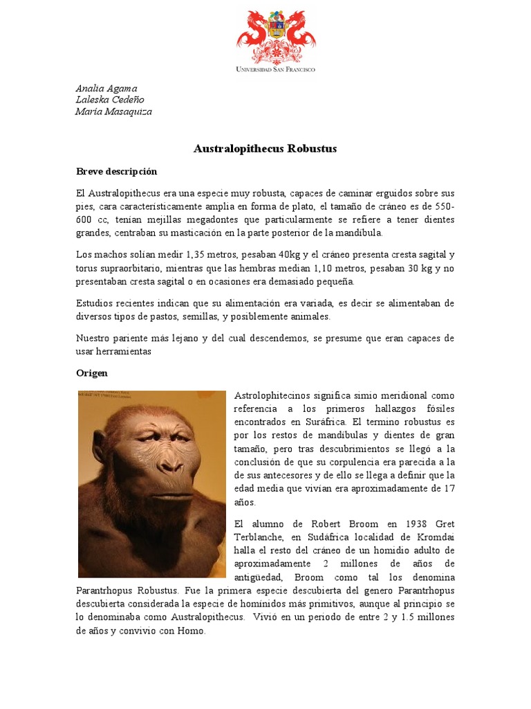 Características del Australopithecus Robustus | PDF