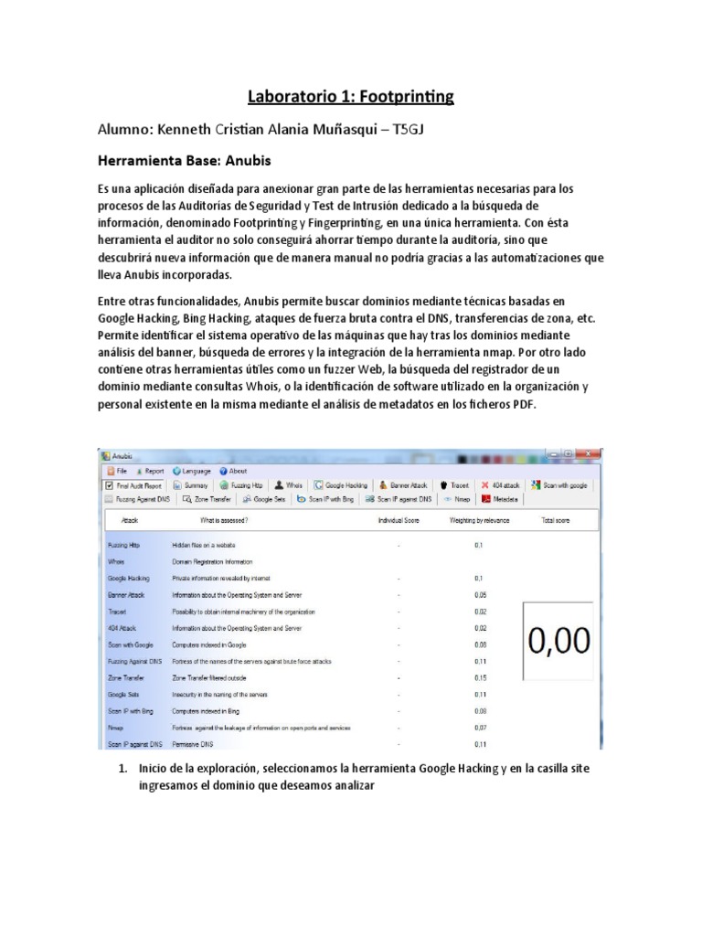 Lab1 Footprinting P1 T5GJ | PDF | sistema de nombres de dominio | Red mundial