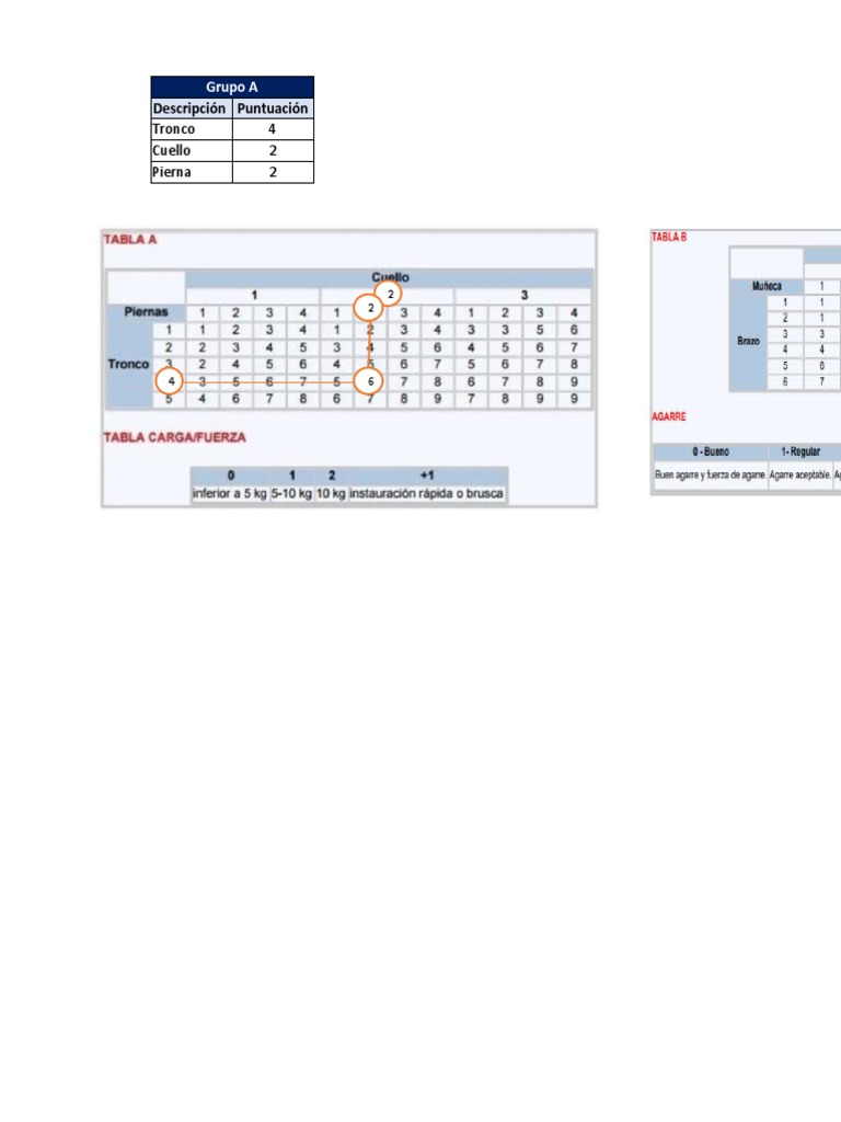 Caso Método Reba | PDF