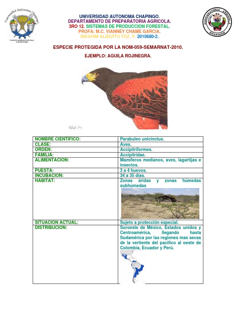 ESPECIE PROTEGIDA POR LA NOM 59 SEMARNAT 2010 - Ibrahim 3ro 12 | PDF ...