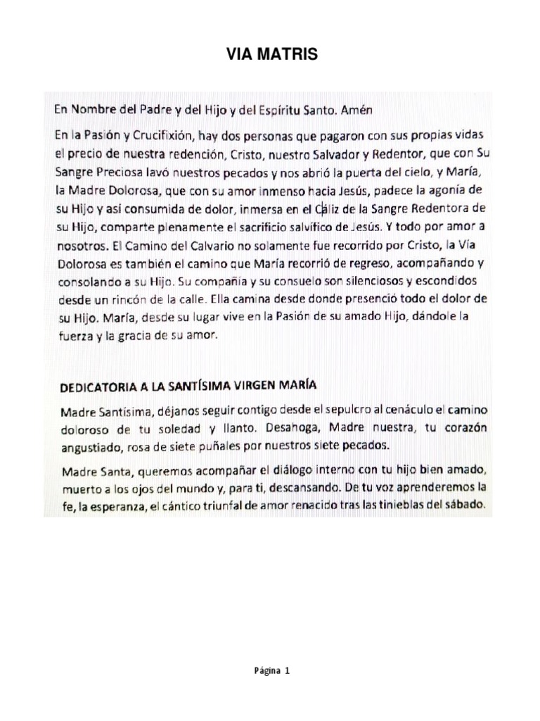 Via Matris | PDF | María, madre de Jesús | Jesús