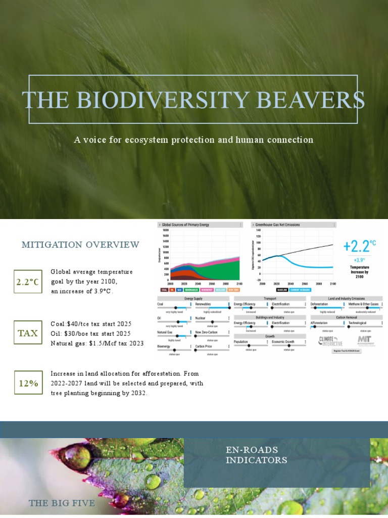 Climate Action & Biodiversity Plan | PDF | Climate Change | Biodiversity