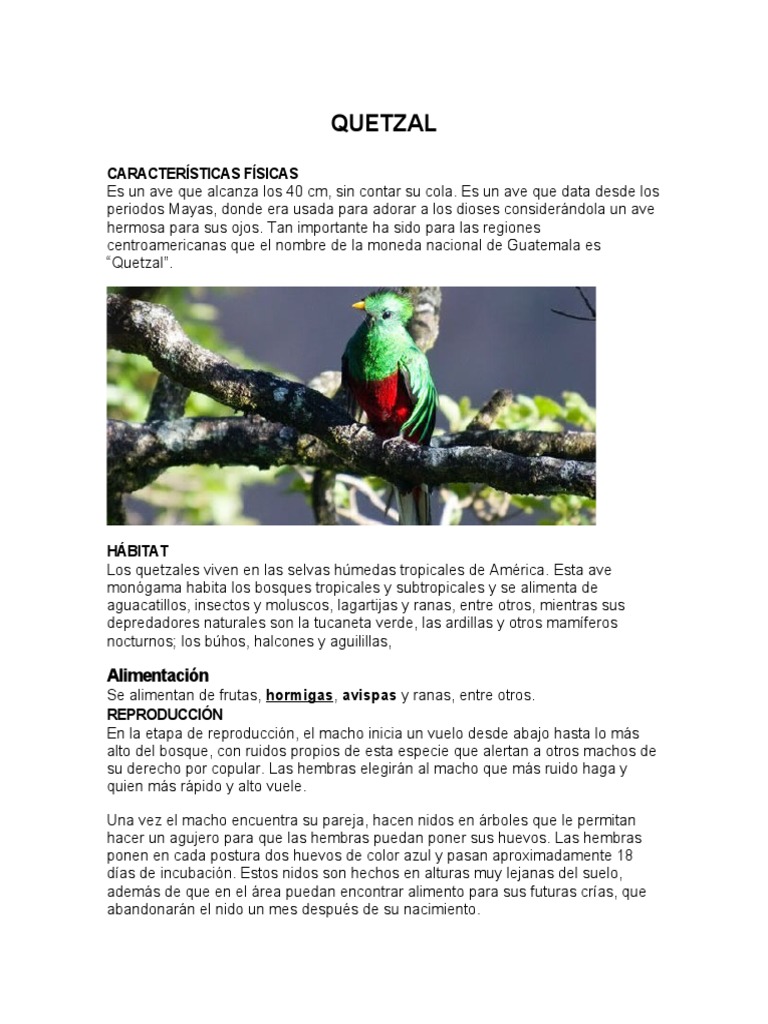 Cuento Informativo Quetzal | PDF