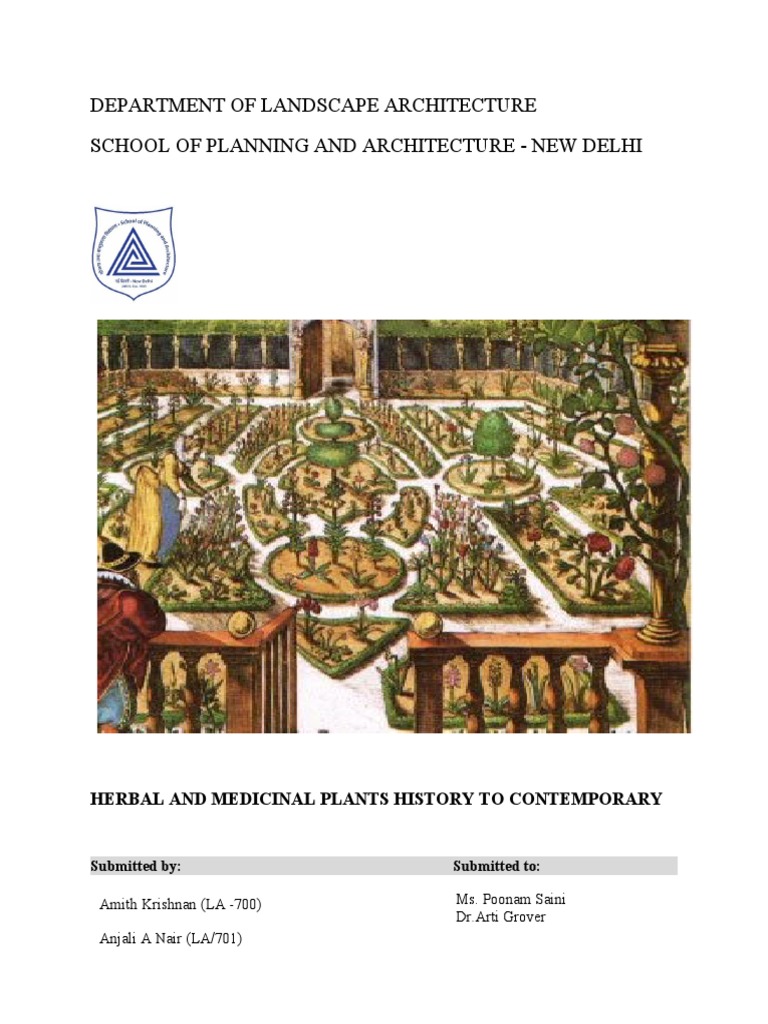 History Term Paper | PDF | Coriander | Oregano