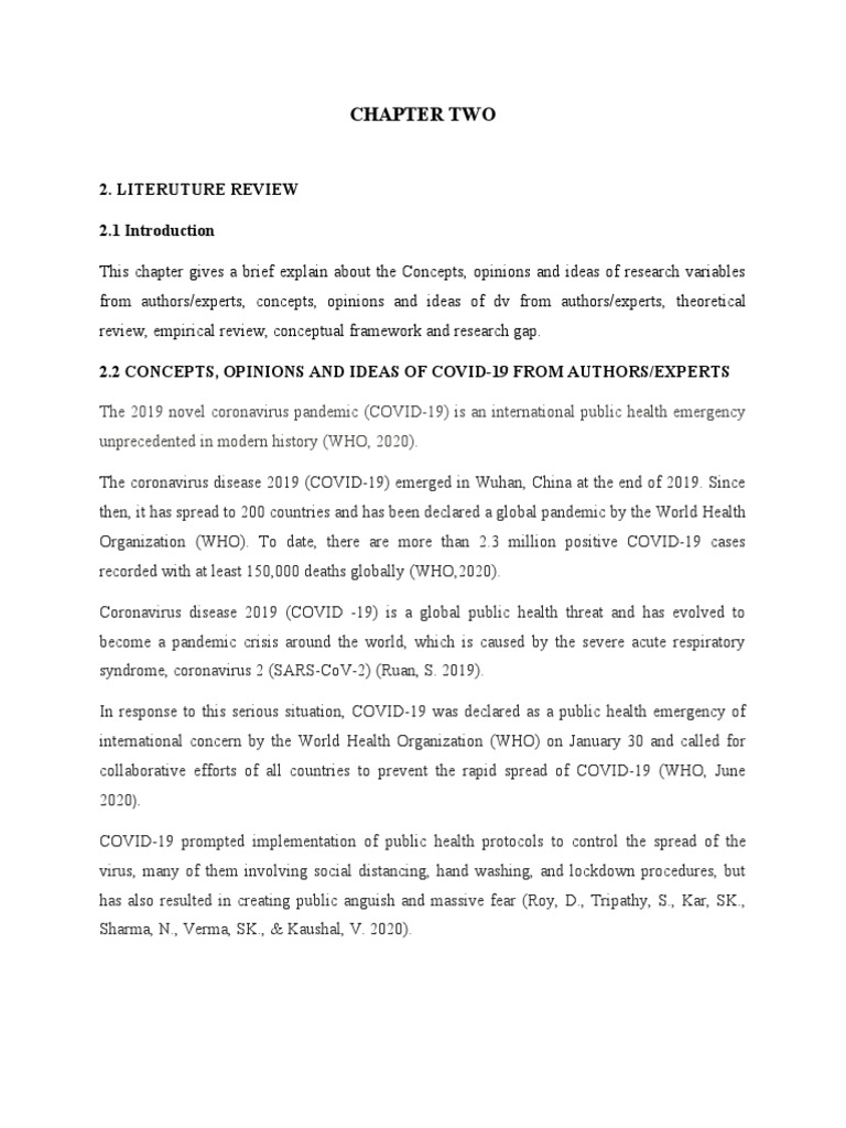 Chapter Two: 2. Literuture Review | PDF | Recession | Pandemic