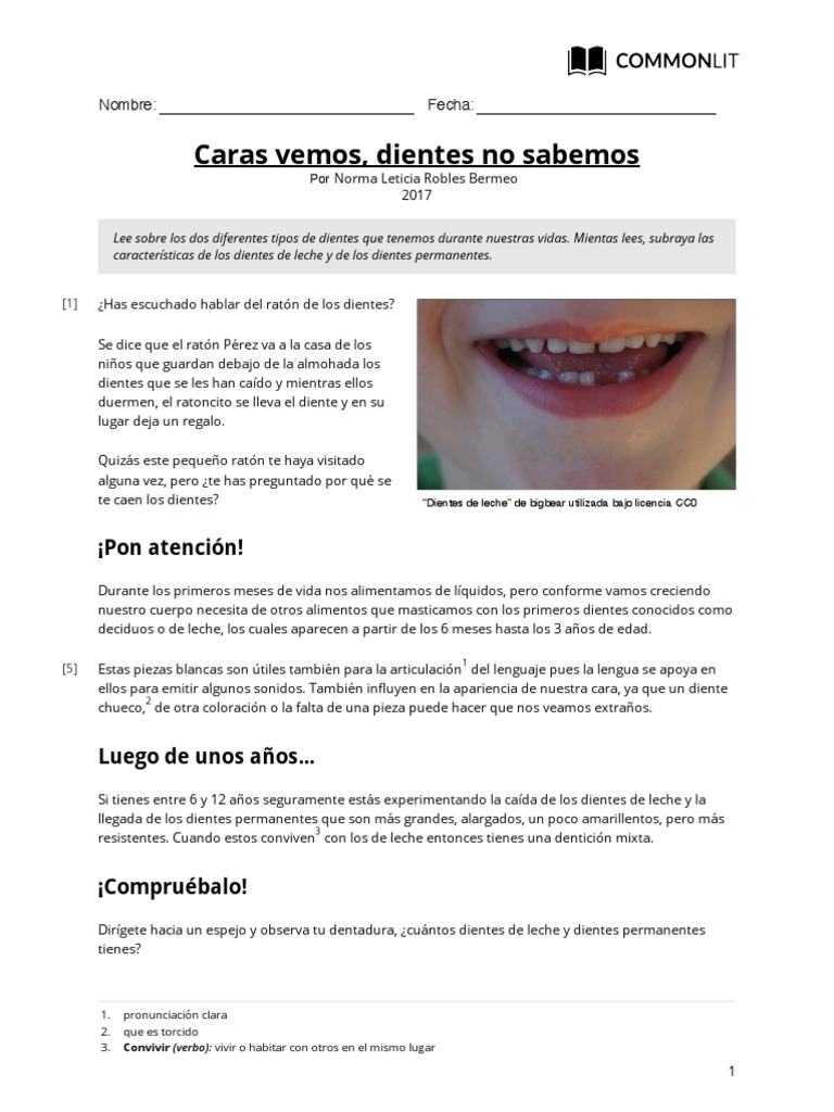 6o Caras Vemos Dientes No Sabemos | PDF | Diente | Anatomia dental