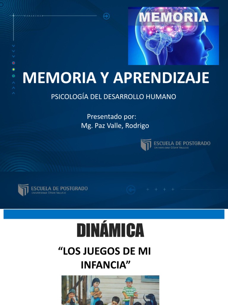 Memoria Y Aprendizaje Pdf Memoria Aprendizaje