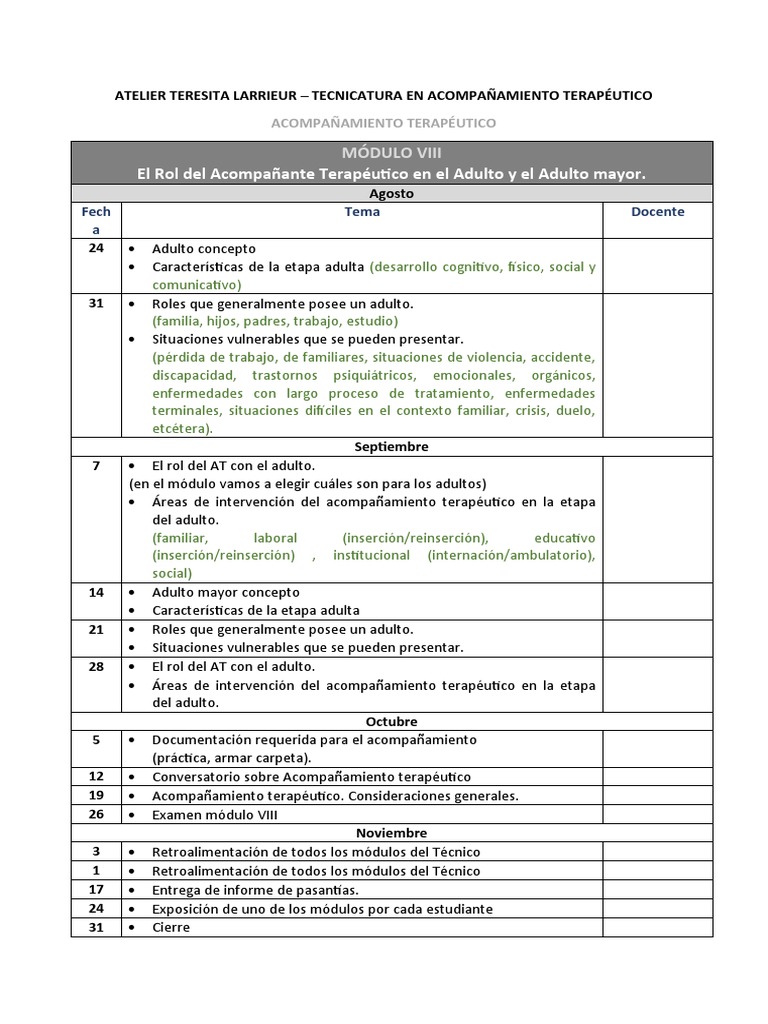 Acompañamiento Terapéutico Ultimo Módulo | PDF