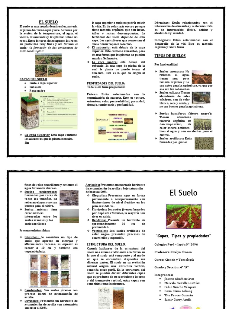 Tipos y Capas del Suelo | PDF | Suelo | Agua