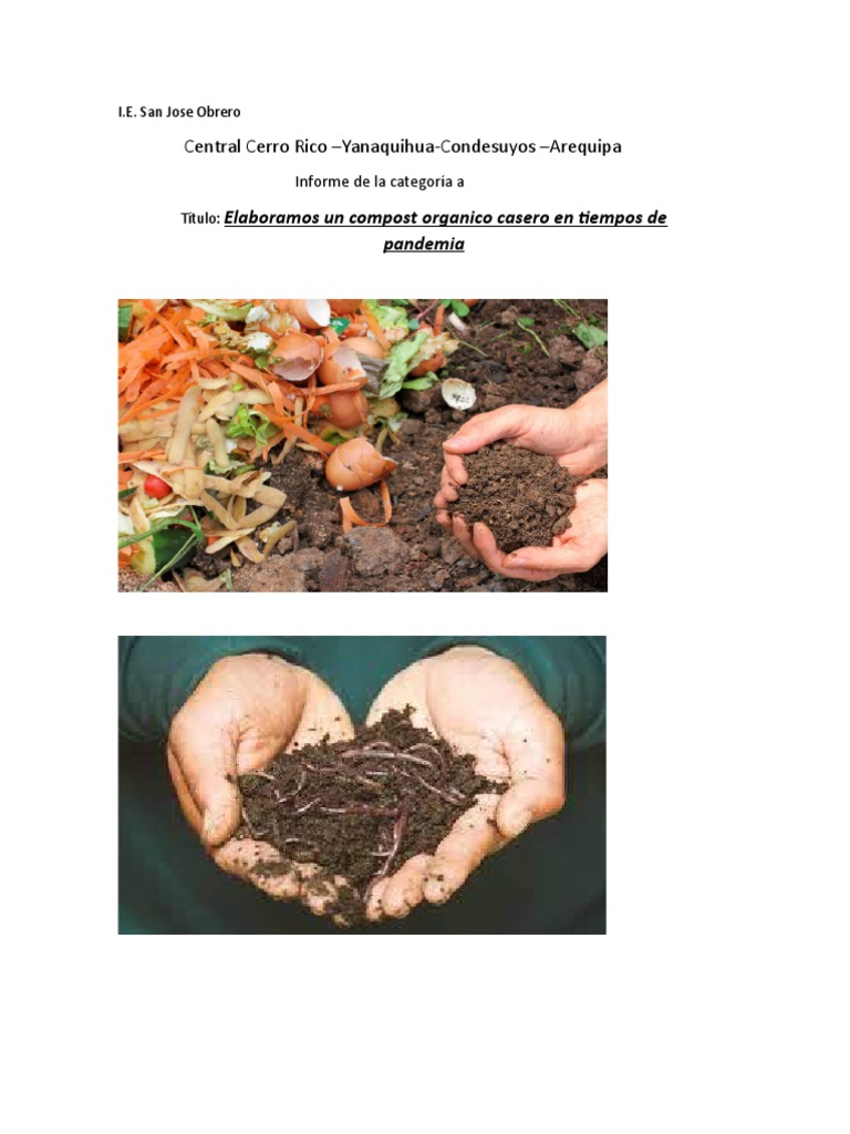 Avance Del Informe Compost | PDF | Compost | Minería