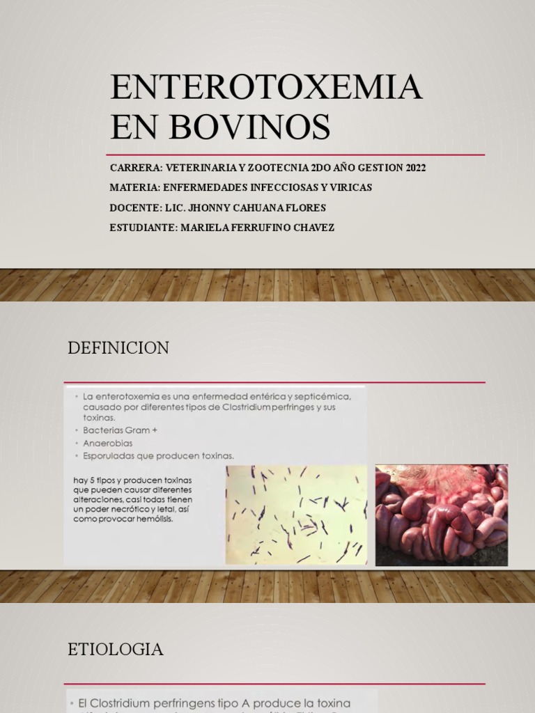 ENTEROTOXEMIA EN Bovinos | PDF