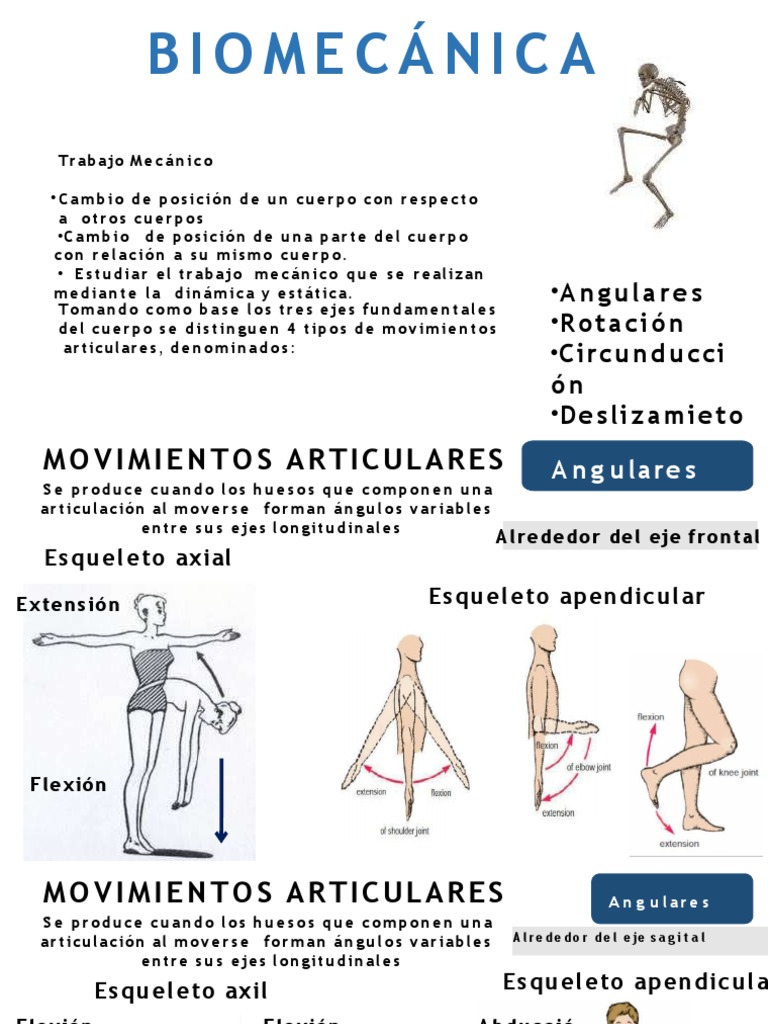 Biomecanica, Movimientos | PDF | Articulación | Anatomía