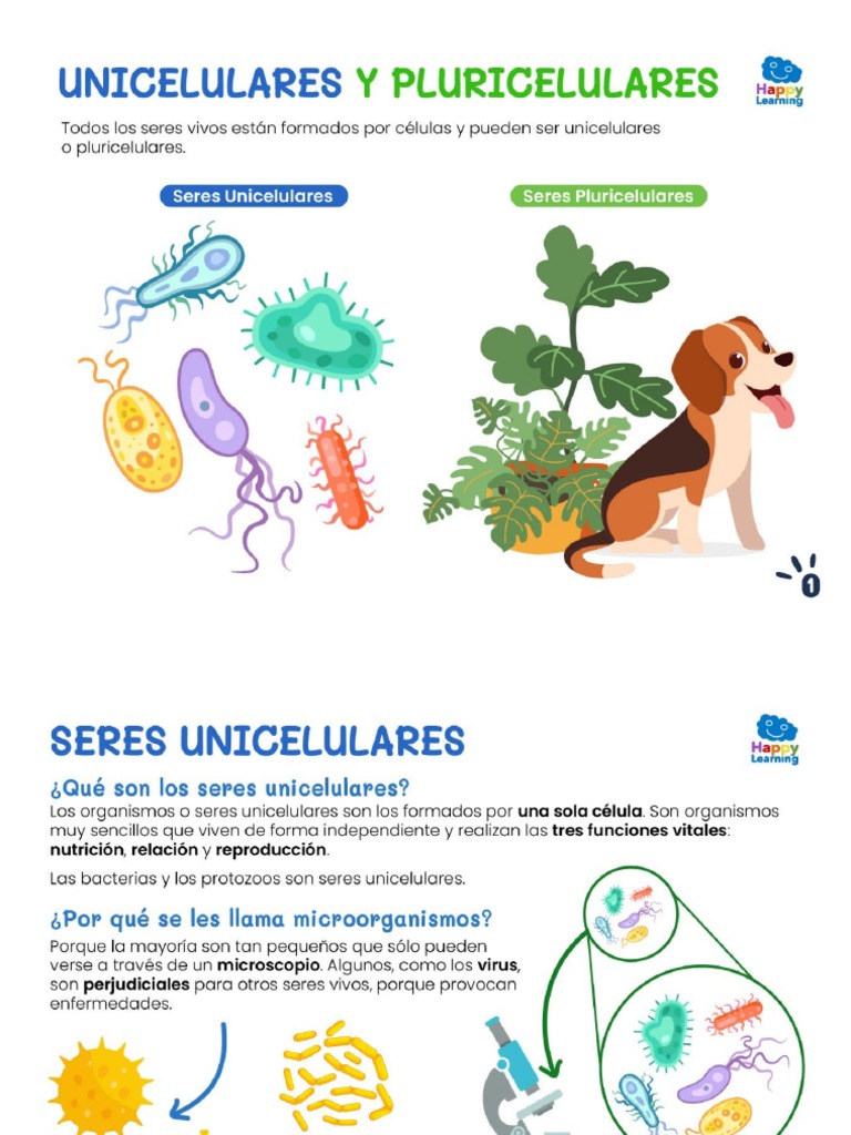 Organismos Unicelurares y Pluricelulares | PDF