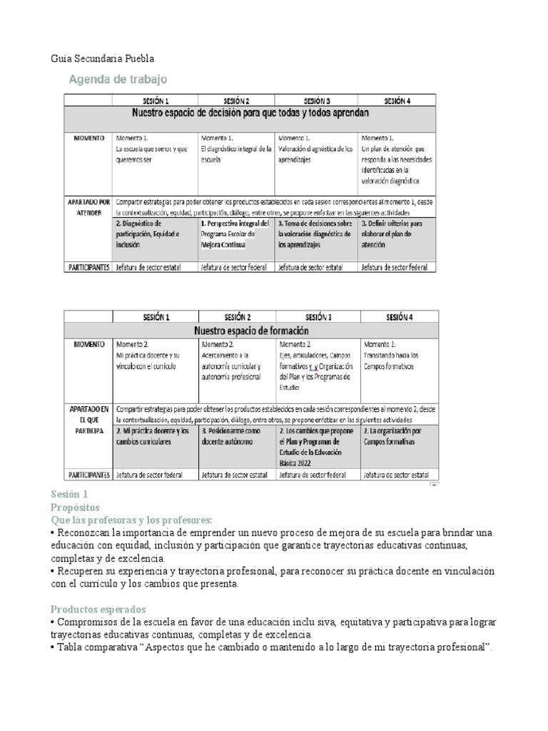 Cte VEro 1 Sesión | PDF | Inclusión (Educación) | Plan de estudios