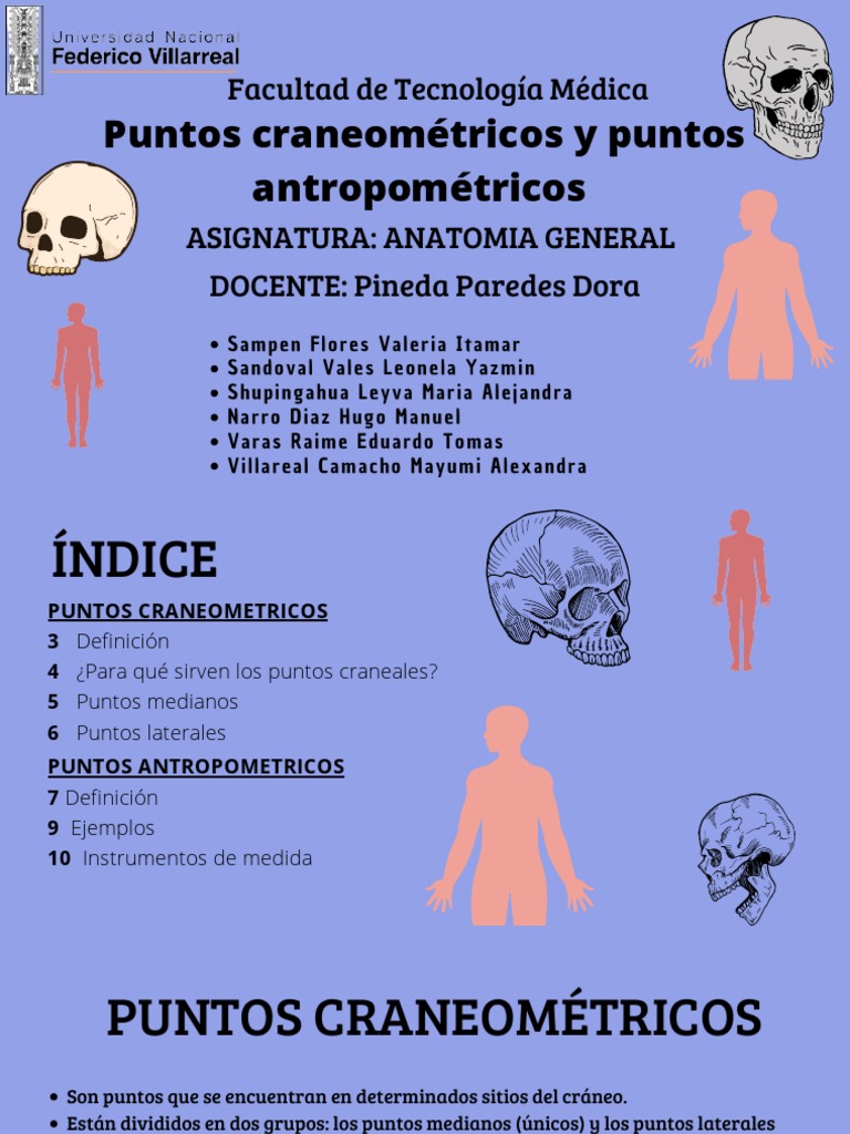 Puntos antropométricos y craneométricos: definiciones, ejemplos e ...