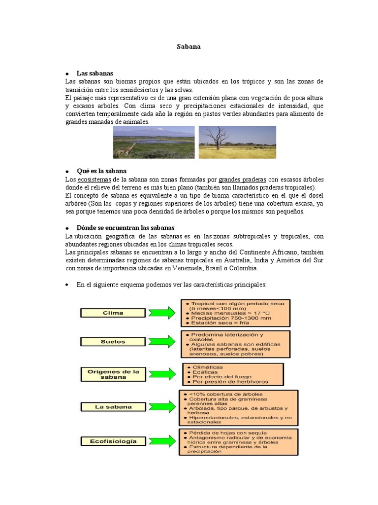 Ficha Alumno Sabana | PDF | Sabana | Clima