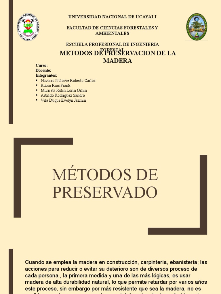Grupo 4 Expo2 | PDF | Madera | Agua
