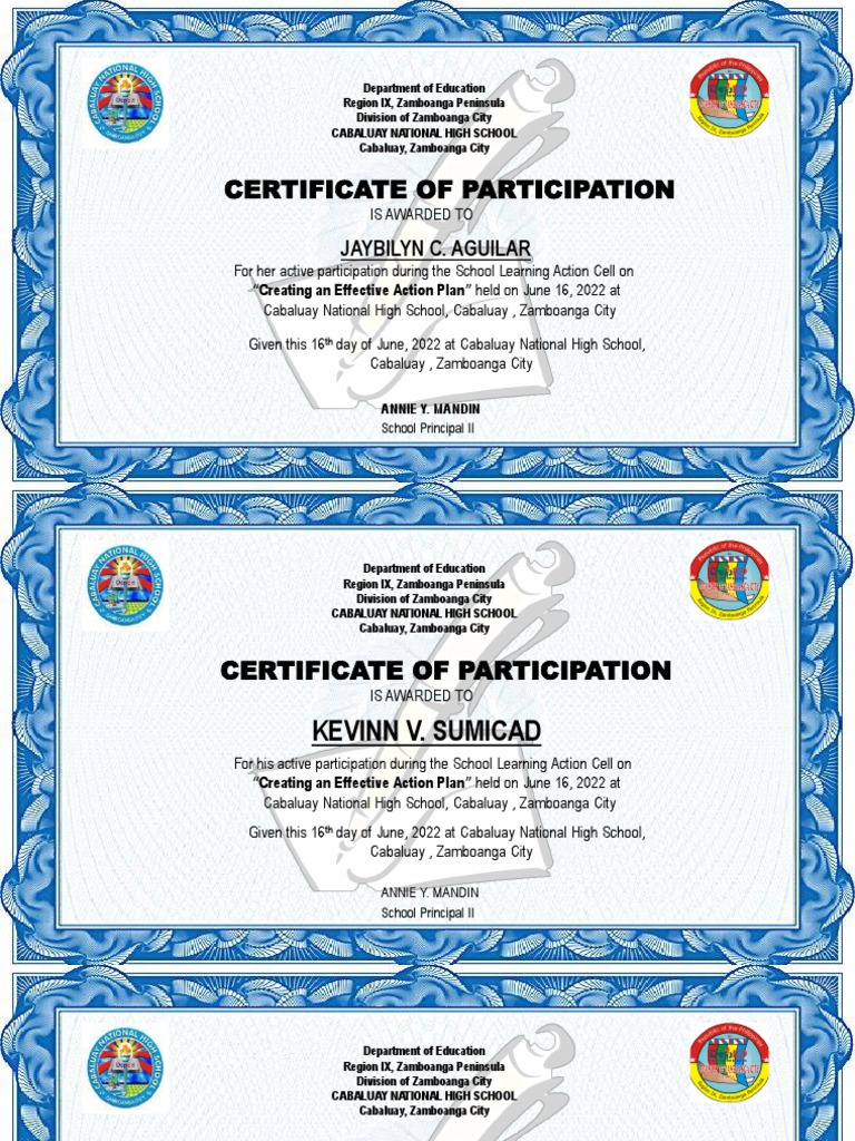 Certificate of Participation: Jaybilyn C. Aguilar | PDF