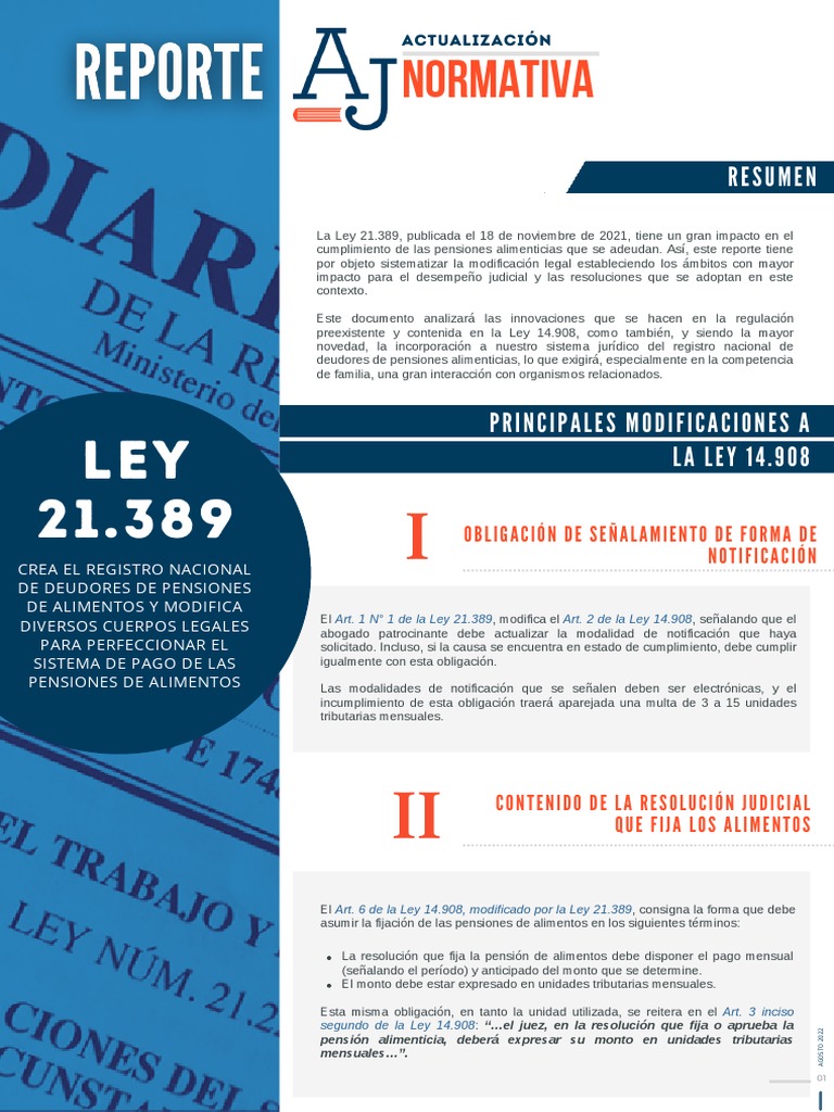 Reporte Actualizacion Ley 21389 | PDF | Pensión alimenticia | Pagos