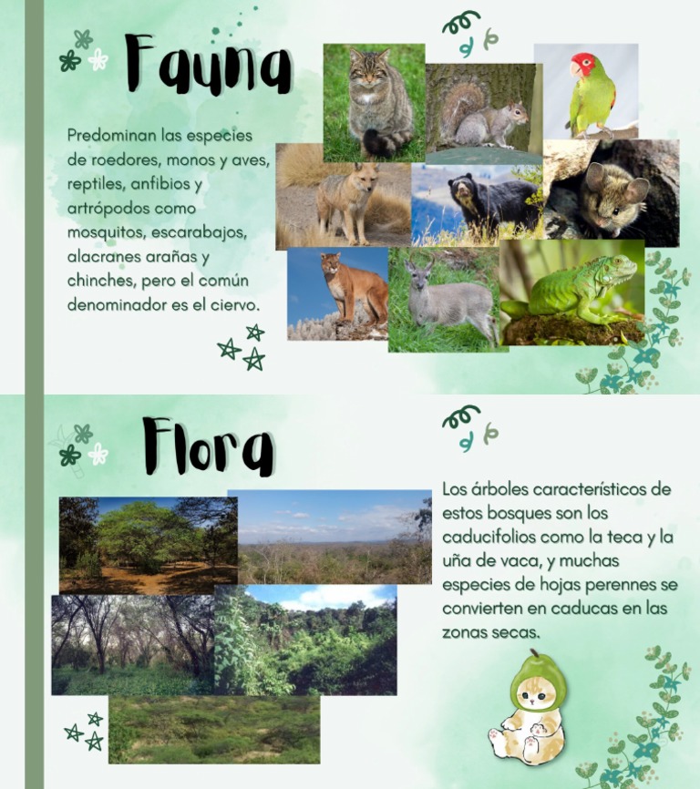 Fauna y Flora de El Bosque Seco Ecuatorial | PDF