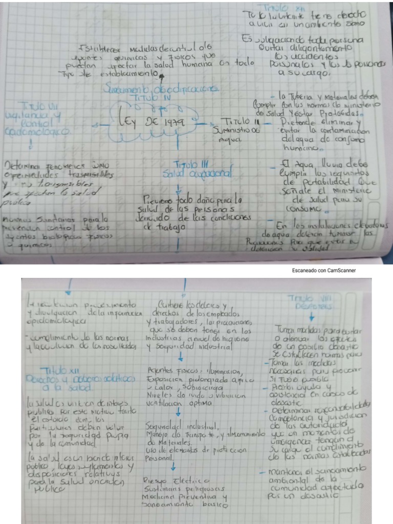 Mapa Conceptual Ley 9 .1979 | PDF