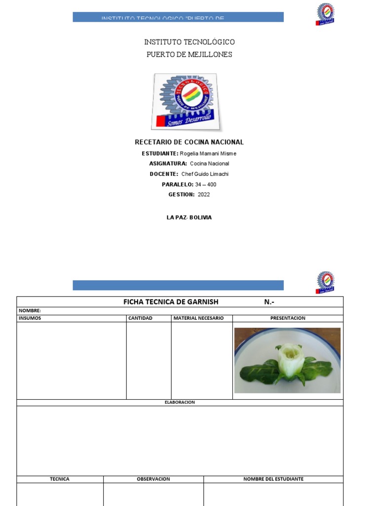 Fichas Tecnicas de Garnisch | PDF