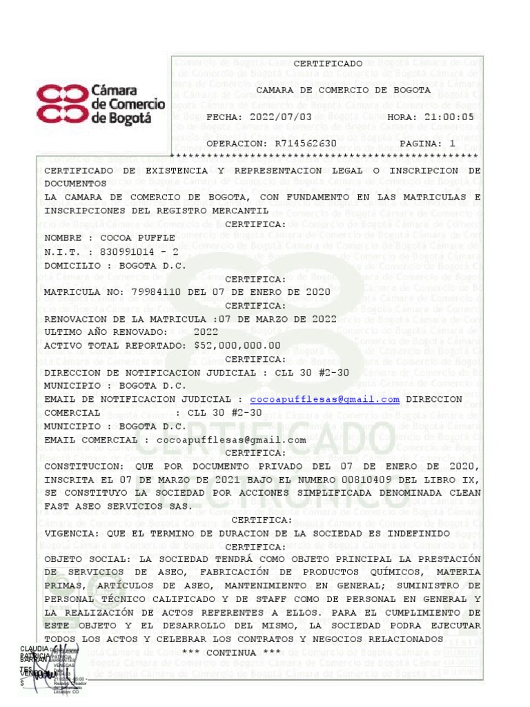 Certificado de Comercio | PDF | Compartir (Finanzas) | Business