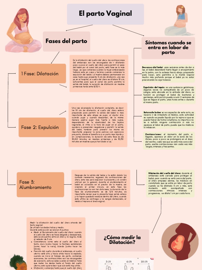 El Parto Vaginal | PDF | Parto | Vagina