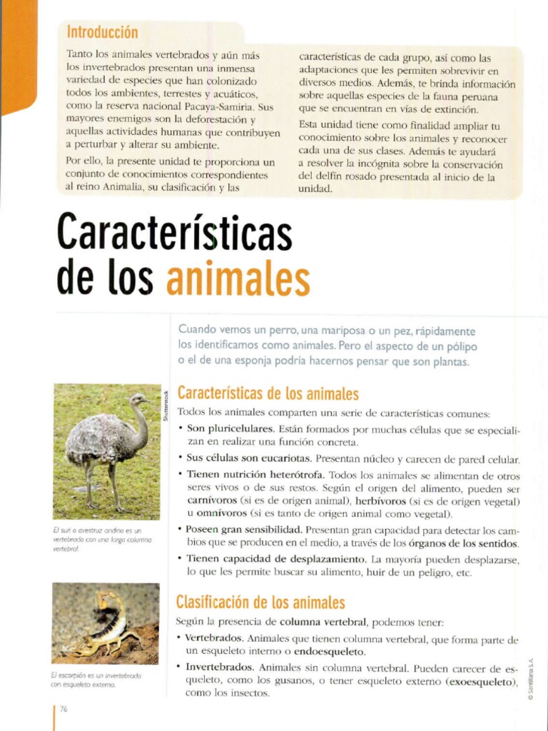 Reino Animal-1ro Sec | PDF