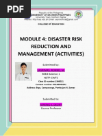 Disaster Management Action Plan | PDF