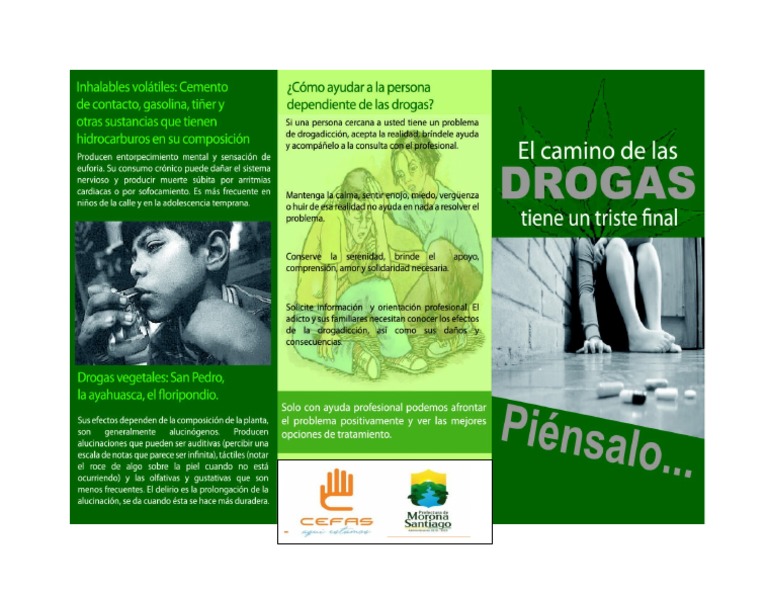 Triptico DROGAS | PDF