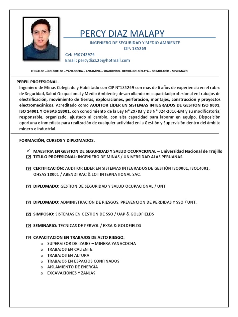 CV Percy Diaz Malapy | PDF | Seguridad y salud ocupacional | La seguridad