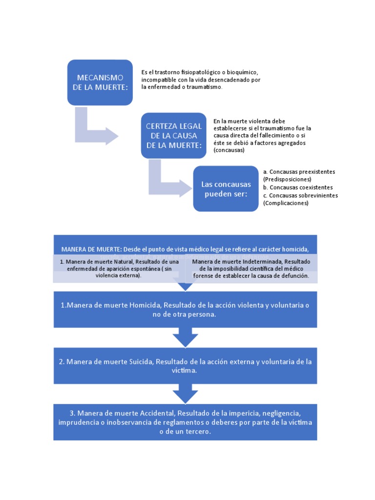 Esquema 1, Grupo 3. | PDF | Muerte | Homicidio