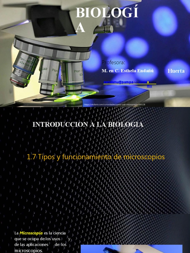 4-1.7 Tipos y Funcionamiento de Microscopios | PDF | Microscopio | Microscópio electrónico ...