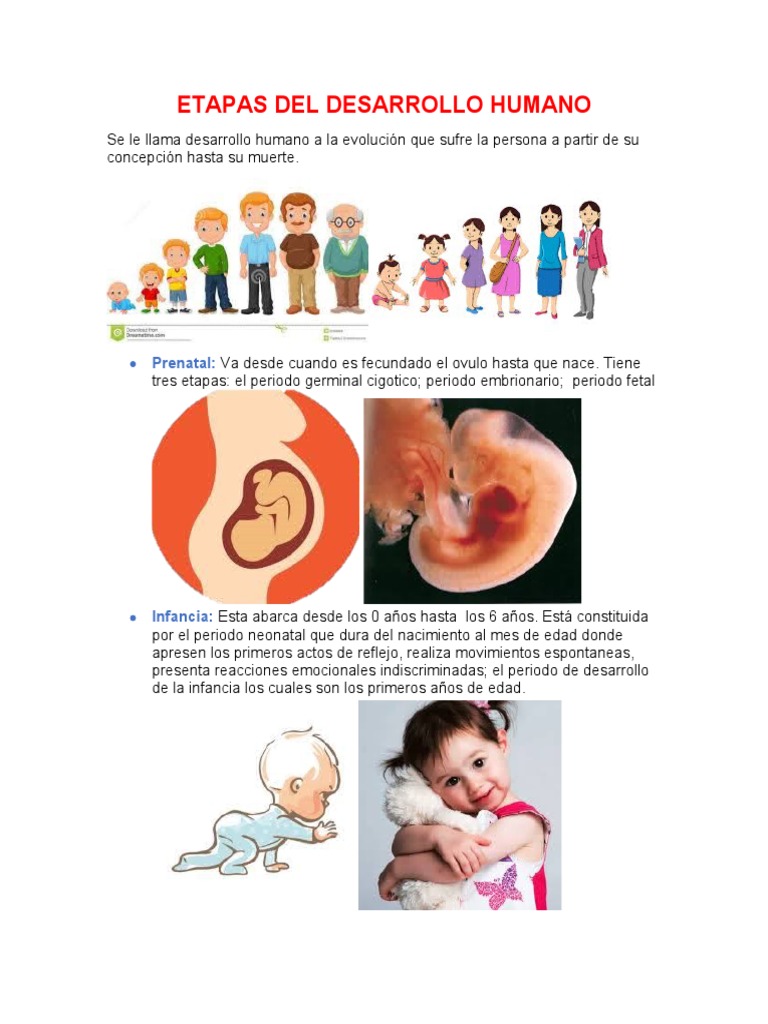 Etapas Del Desarrollo Humano | PDF