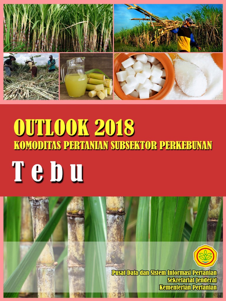 Outlook Tebu 2018 | PDF