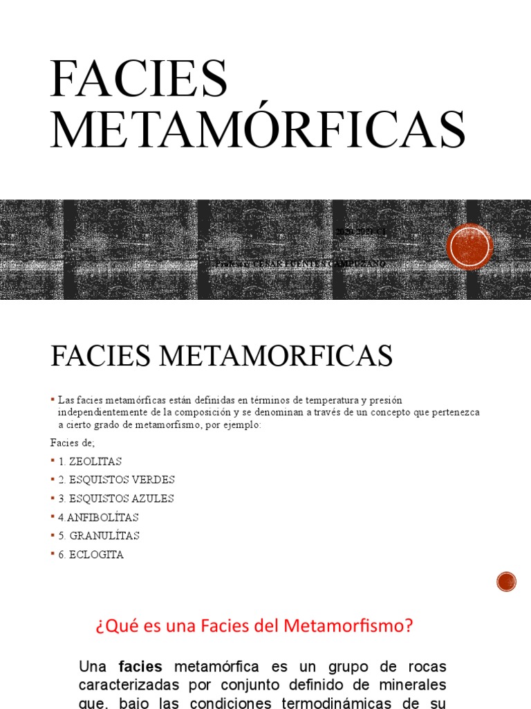 8.facies Metamórfica | PDF | Minerales | Roca (geología)
