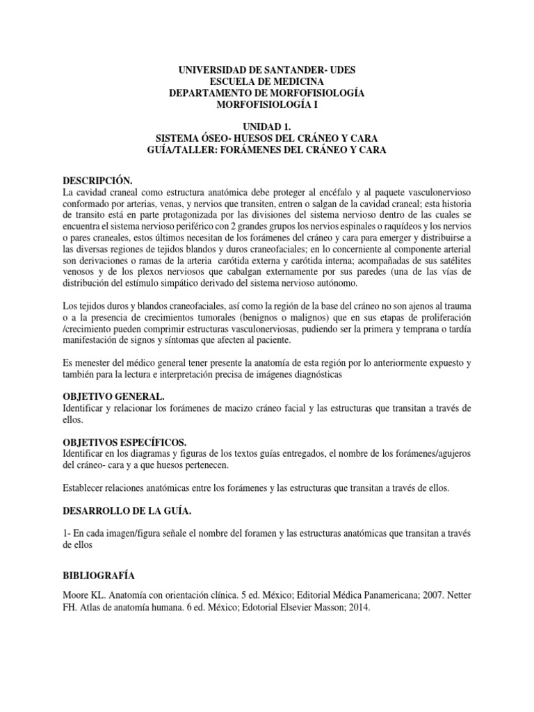 Forámenes del Cráneo y su Anatomía | PDF | Cráneo | Anatomía