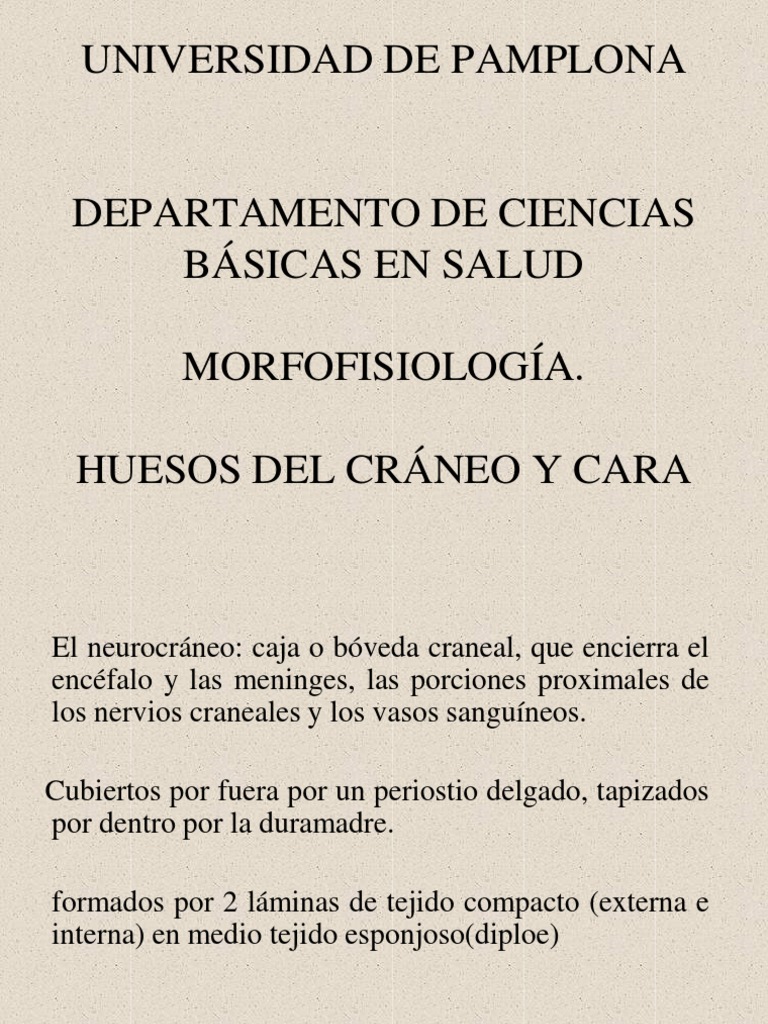 Huesos Del Craneo y Cara Original | PDF | Cráneo | Sistema esquelético