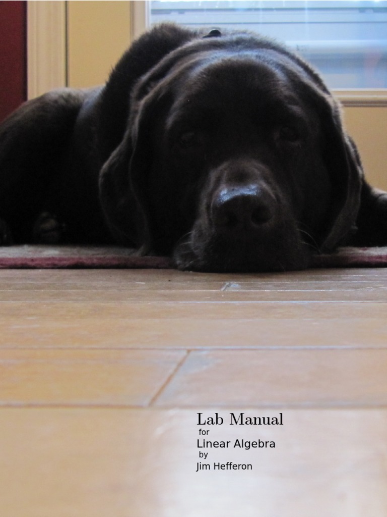 Lab Manual for Linear Algebra Concepts | PDF