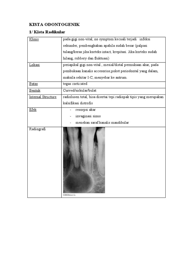 PR Kista Radiologi - Edit | PDF