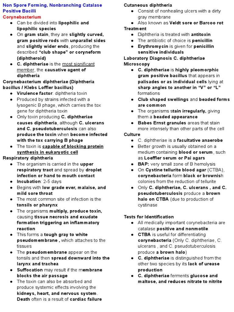 Non Spore Forming, Nonbranching Catalase Positive Bacilli | PDF ...