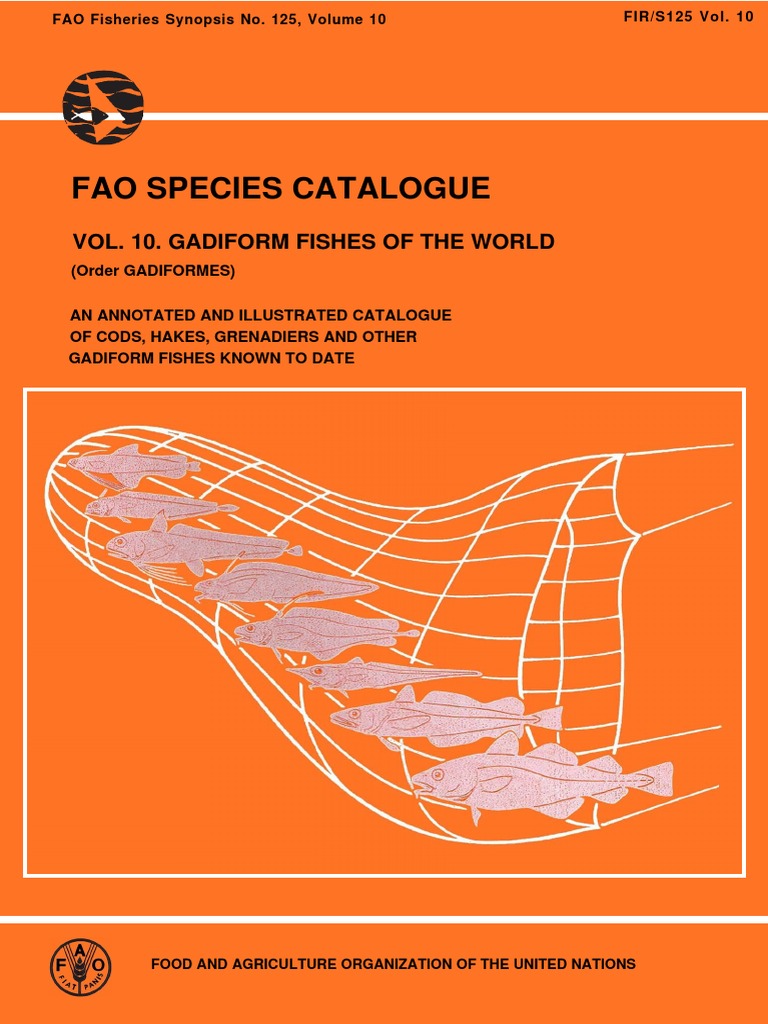 Gadiform Fishes of The World-1990 | PDF | Food And Agriculture ...