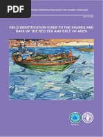 Freshwater Zooplankton Identification Guide | PDF | Anatomical Terms Of ...