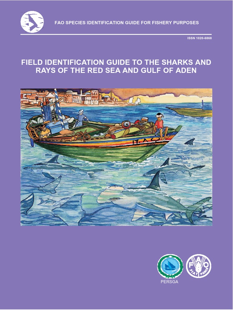 Sharks and Rays Guide: Red Sea & Aden | PDF | Red Sea | Sea
