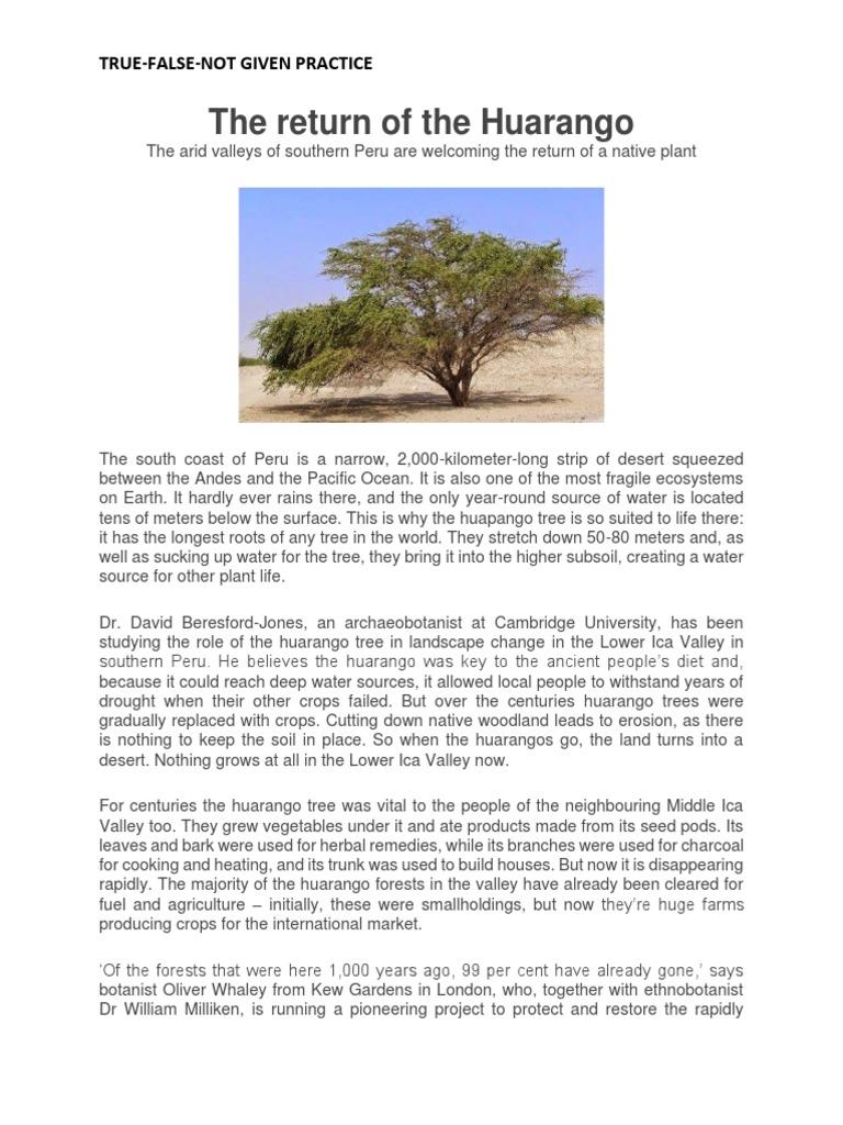 The Return of The Huarango | PDF | Trees | Desert